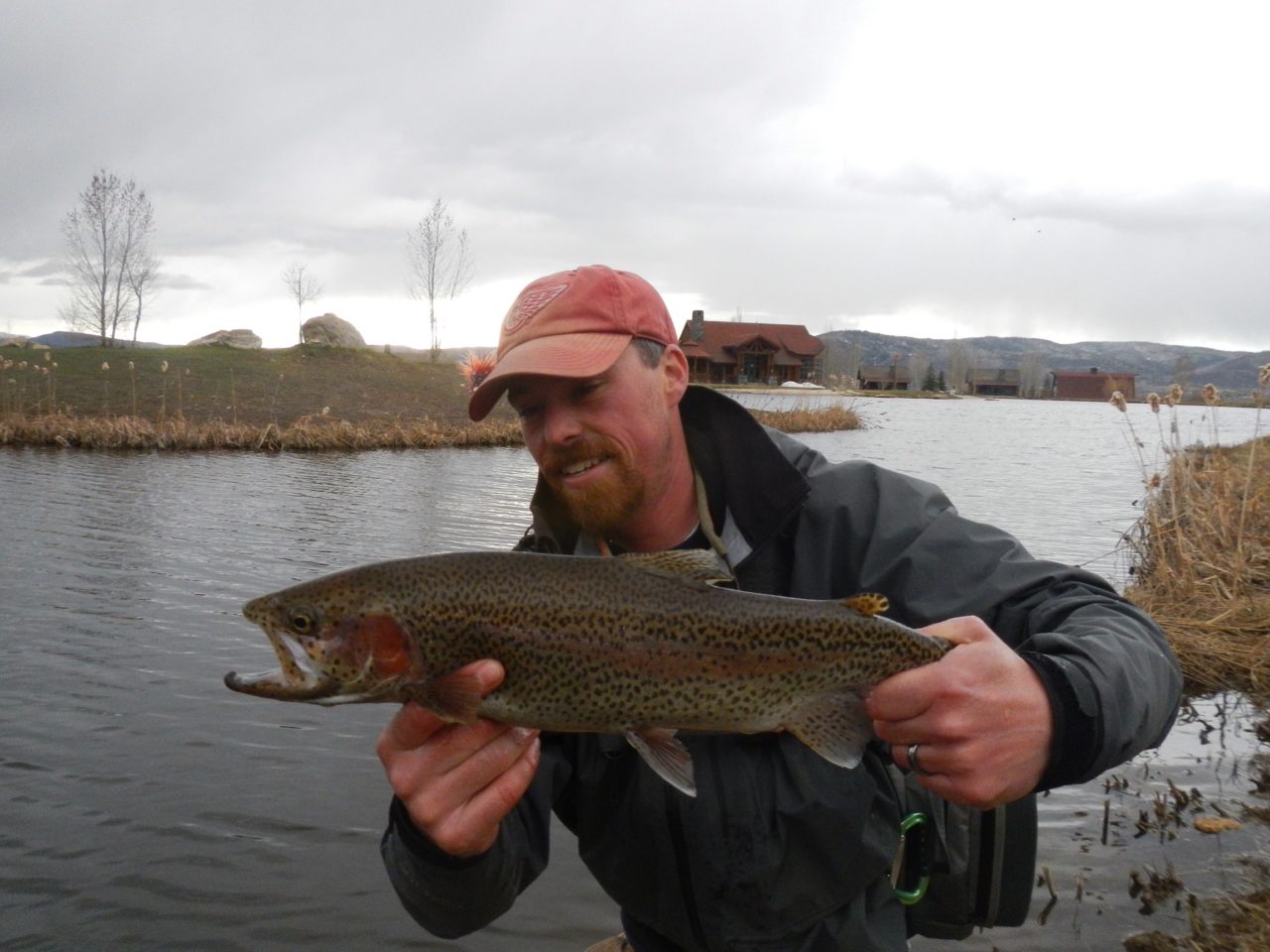 Big Trout Brewing | Locally owned brewpub, offering a wide selection of ...